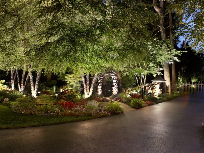Landscape Lighting